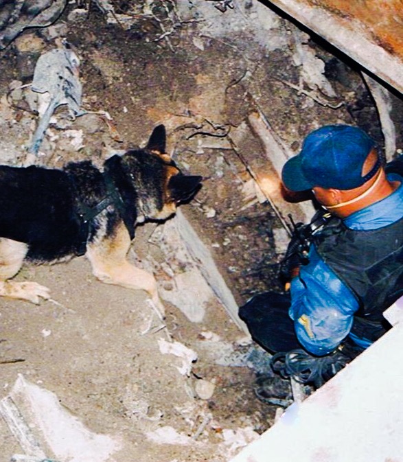 Police Agency K9 Training Services » Anderson K9 Training