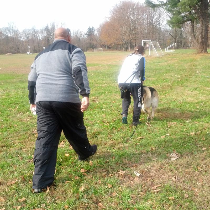 Specialty Dog Training » Agility, Protection & Scent » Anderson K9 Training